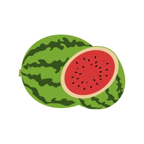 Watermelon set with whole Royalty Free Vector Image