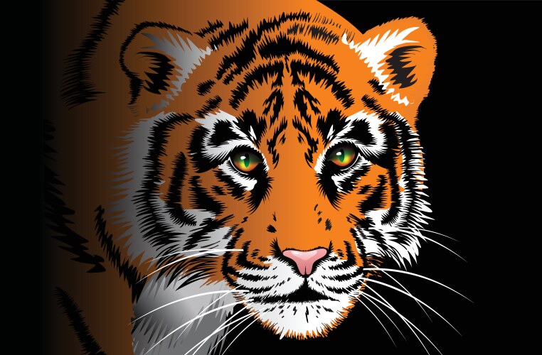 Tiger Vector Images (over 88,000)