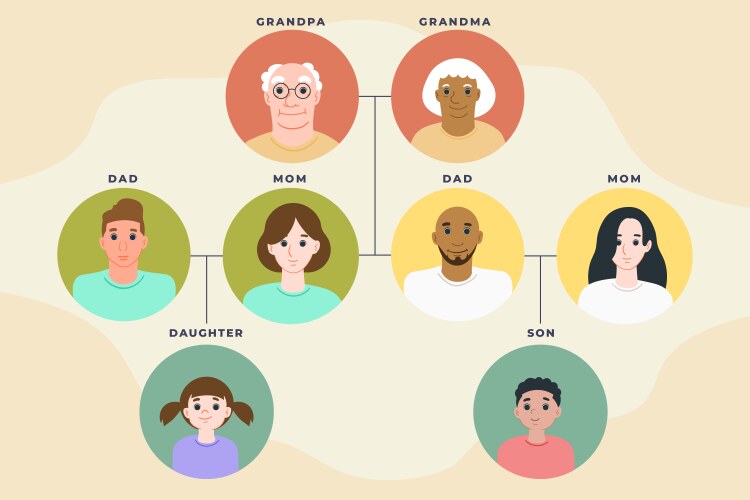 Detailed Family Tree Diagram – Royalty-Free Vector | VectorStock