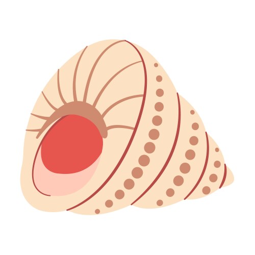 Conch Shell Cartoon Vector Images (over 1,600)