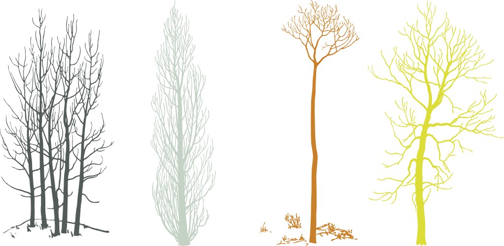 Tree graphic Royalty Free Vector Image - VectorStock