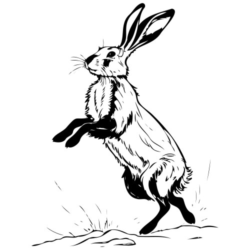 Hare Outline Vector Images (over 9,500)