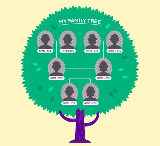 Family Tree Diagram Vector Images (over 170)