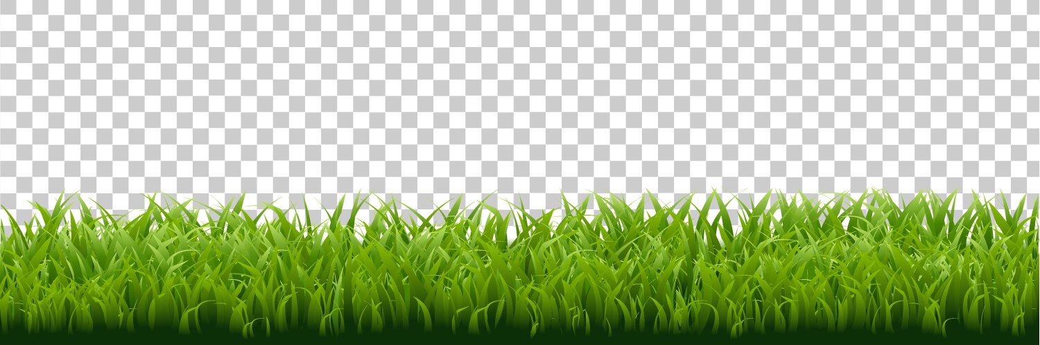 Grass border Royalty Free Vector Image - VectorStock