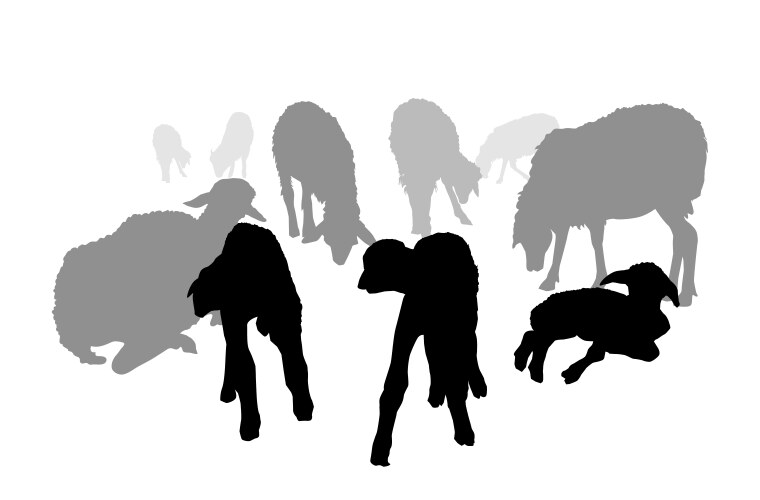 Black Sheep Vector Images (over 24,000)