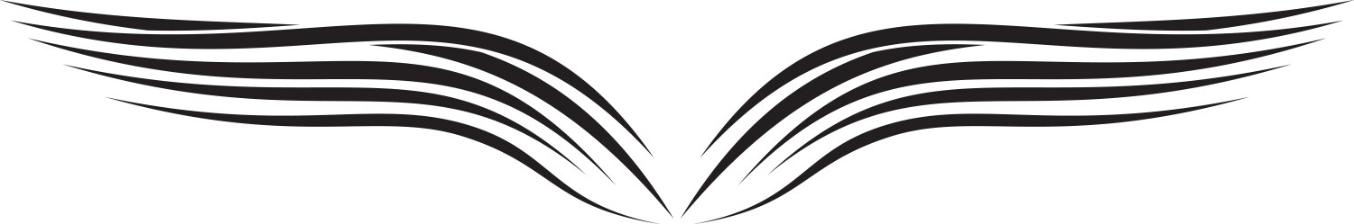 Detailed wing silhouette up Royalty Free Vector Image