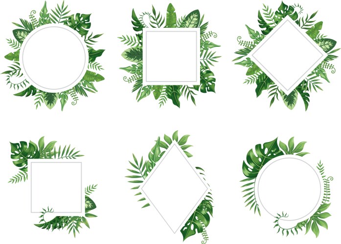 Tropical Leaf Frames – Royalty-Free Vector | VectorStock