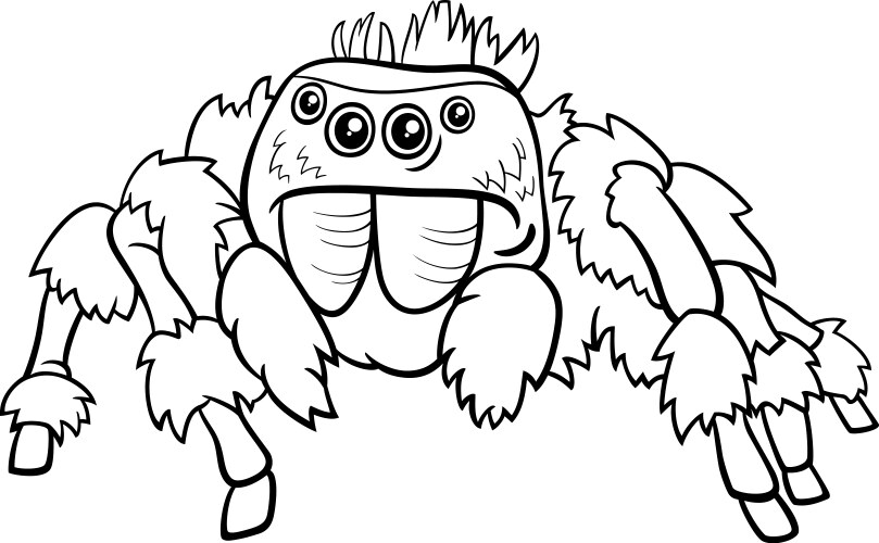Jumping Spider Vector Images (over 140)