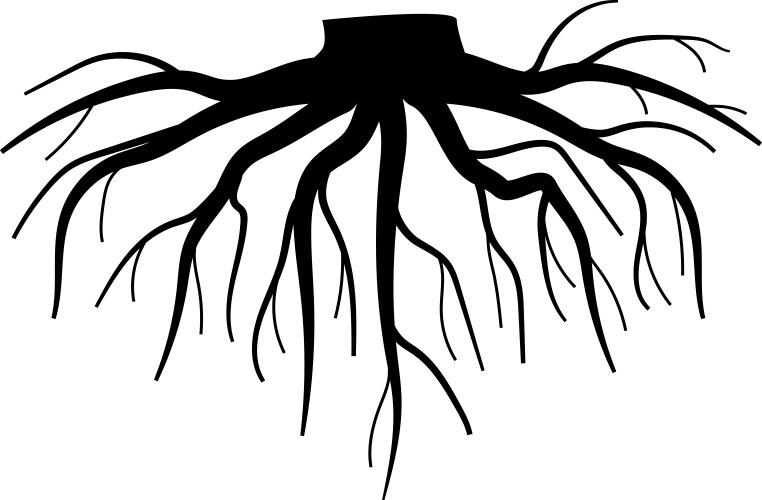 Anchor tree root cartoon Royalty Free Vector Image