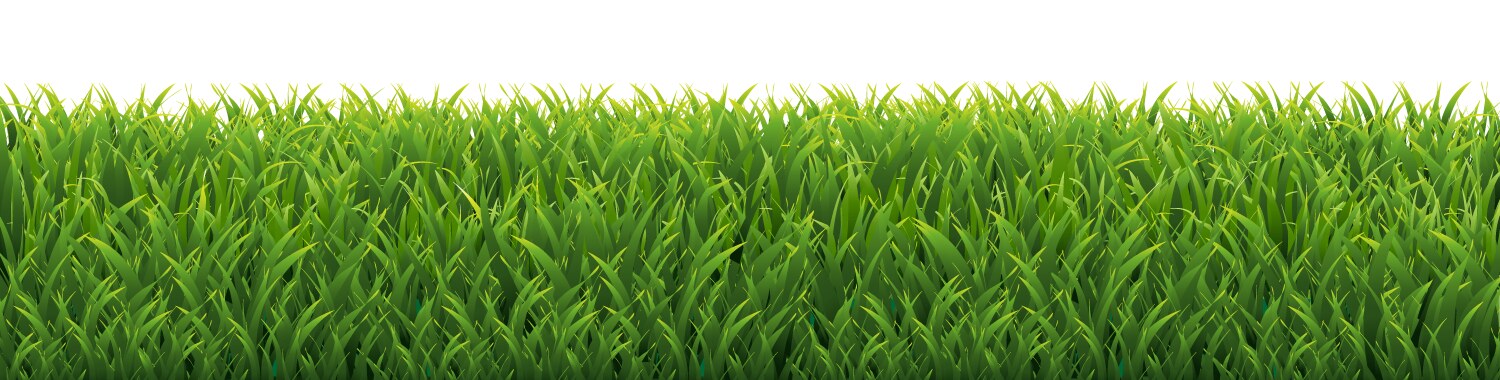 Clipart Images Of Grass Grass Clipart Images – Browse 168,847 Stock
