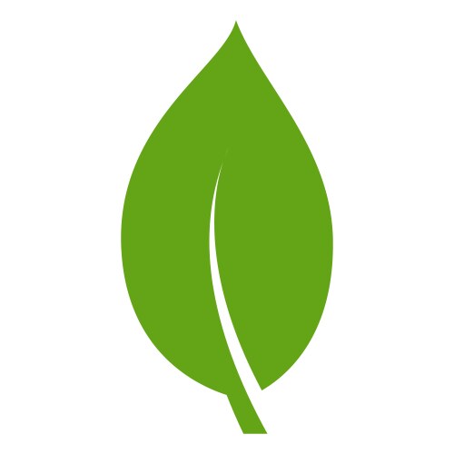 Eco green color leaf logo flat icon isolated Vector Image