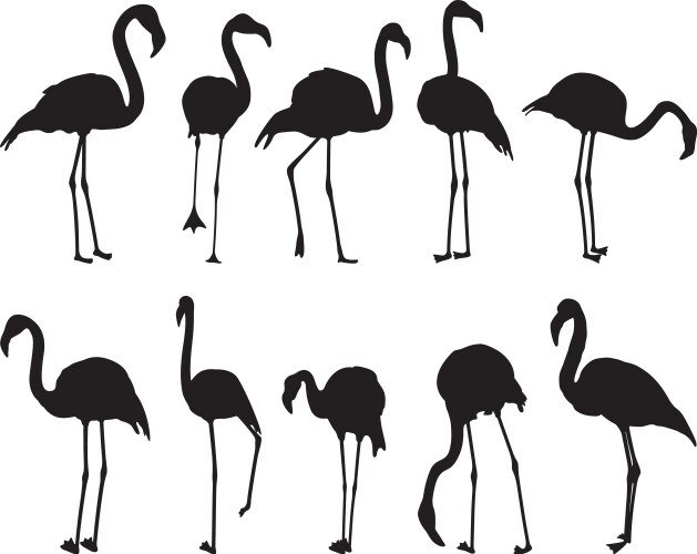 Flamingo Vector Images (over 32,000)