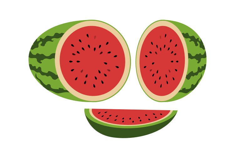 Watermelon set with whole Royalty Free Vector Image