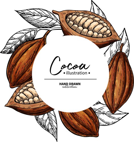 Cocoa border superfood drawing template Royalty Free Vector