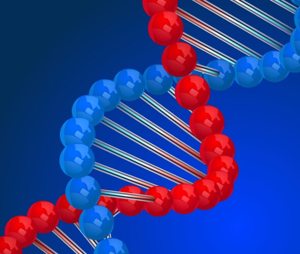 Cell Dna Vector Images (over 37,000)