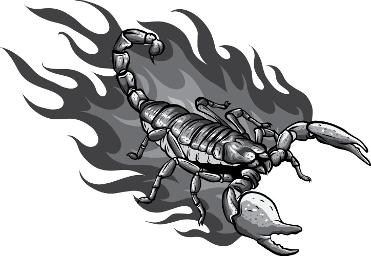 Scorpion Vector Images (over 7,700)