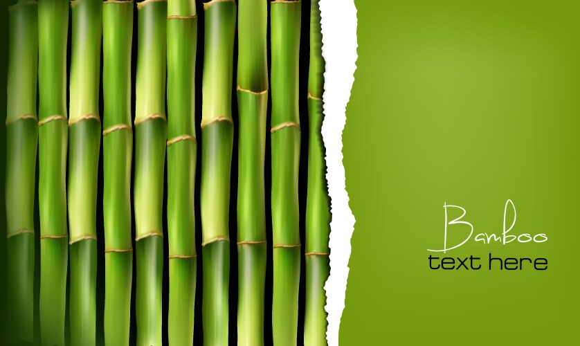 Bamboo Vector Images (over 44,000)