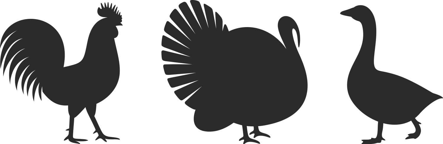 Roosters and cockerel poultry farm bird symbol Vector Image