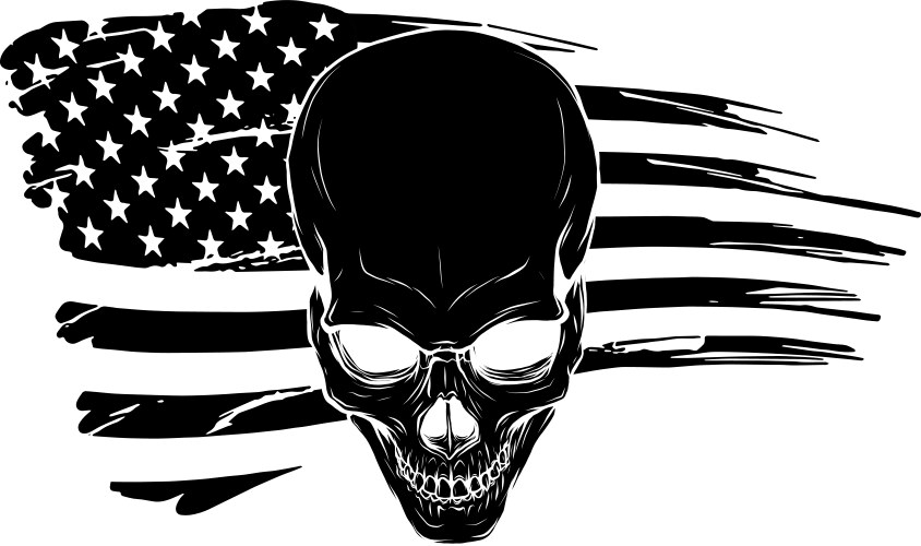 Skull with american confederate flag isolated Vector Image