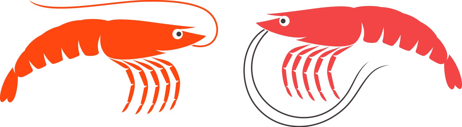 Shrimp Royalty Free Vector Image - VectorStock