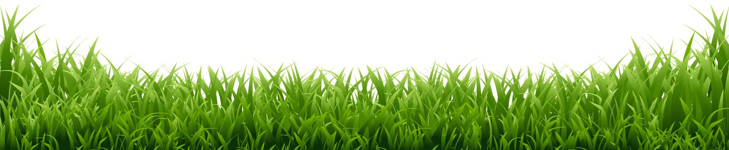 Spring grass seamless border floral Royalty Free Vector