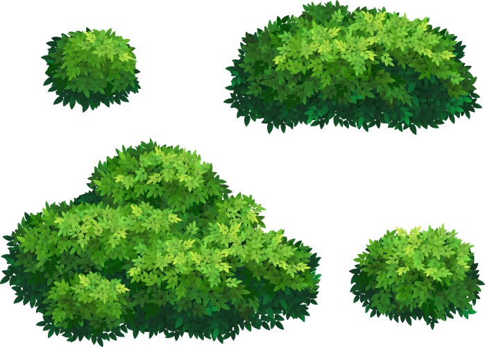 Green Shrubbery Collection Royalty Free Vector Image