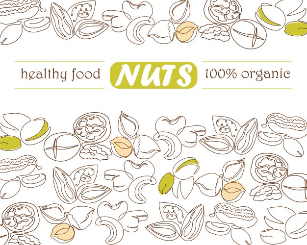 Nuts Flyer Vector Images (over 770)