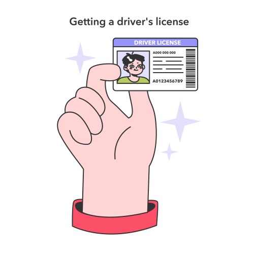 Driver License Vector Images (over 4,300)