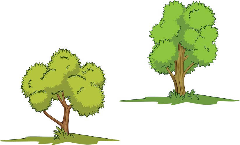 One big tree on white background Royalty Free Vector Image