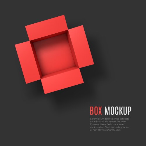 Open box mockup template top view Royalty Free Vector Image