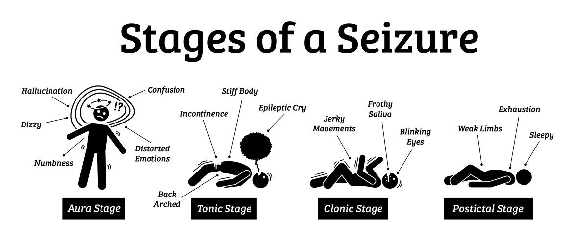 Epilepsy Vector Images (over 1,700)