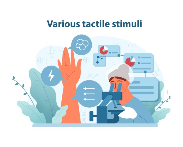 Stimuli Vector Images (51)