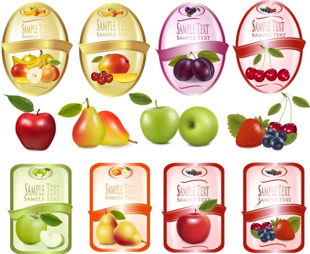 Fruit labels Royalty Free Vector Image - VectorStock