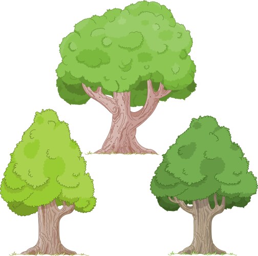 Tree Royalty Free Vector Image - VectorStock