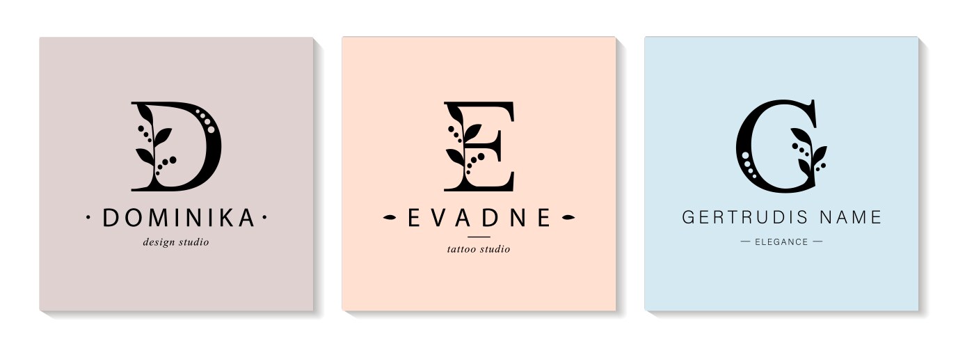 Collection Of Botanical Minimalistic Feminine Vector Image