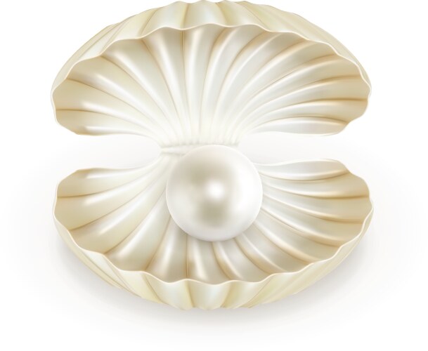 Oyster Pearl Vector Images (over 4,100)
