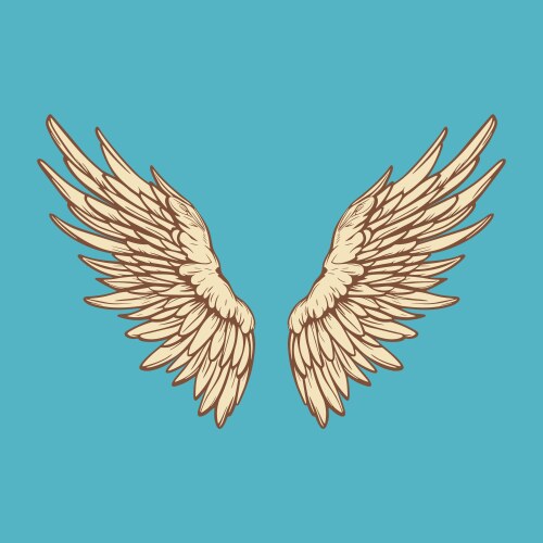 Wing icon set vintage angel wings Royalty Free Vector Image