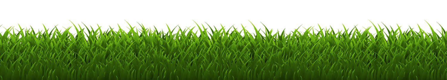 Heart on green grass Royalty Free Vector Image