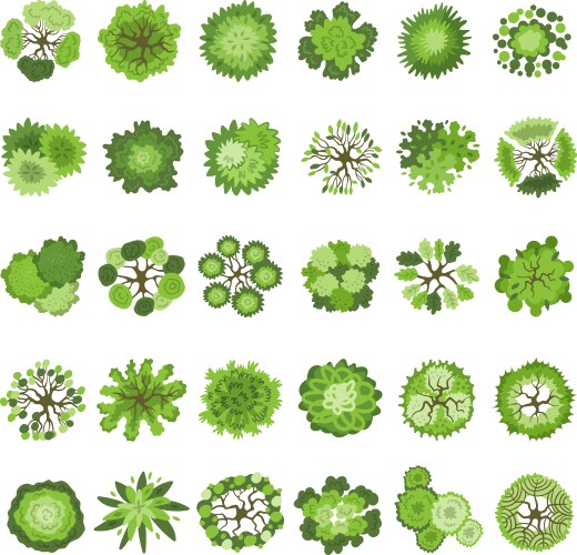 Palm Tree Plan View Vector Images (over 200)