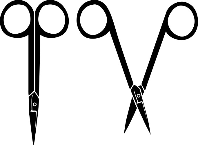 Icon screw and nail Royalty Free Vector Image - VectorStock