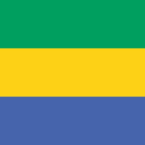 Rectangle flag of gabon Royalty Free Vector Image