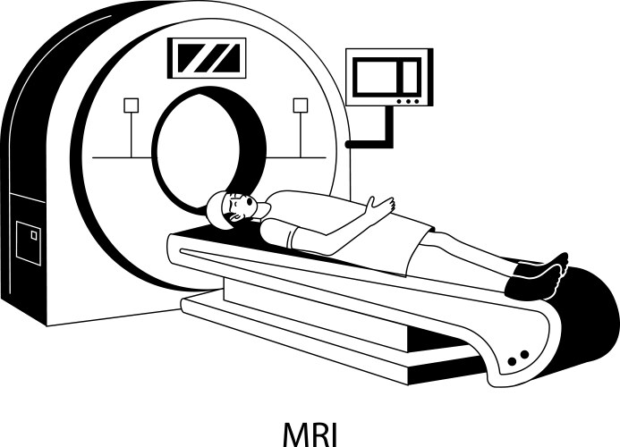 Mri Scan Vector Images (over 3,500)