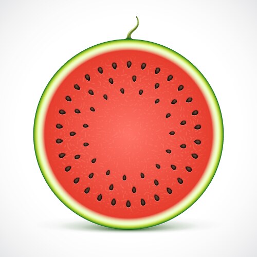 Watermelon Seeds Vector Images (over 8,500)