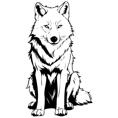 Arctic wolf portrait drawing realistic outline Vector Image
