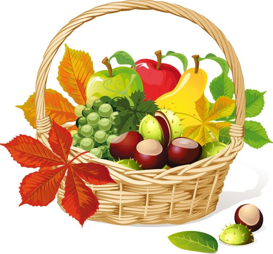 Fresh Vegetables in Wicker Basket Royalty Free Vector Image