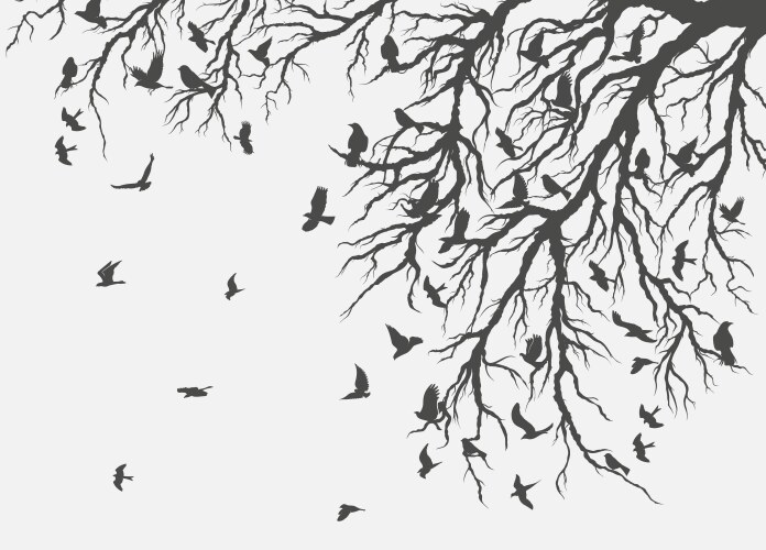Trees and birds Royalty Free Vector Image - VectorStock