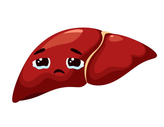 Sad Liver Vector Images (over 300)