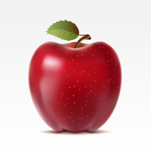 Red apple Royalty Free Vector Image - VectorStock