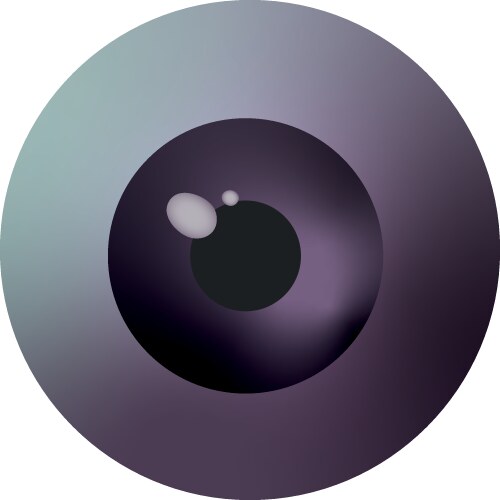 Colored detailed eyeball Royalty Free Vector Image