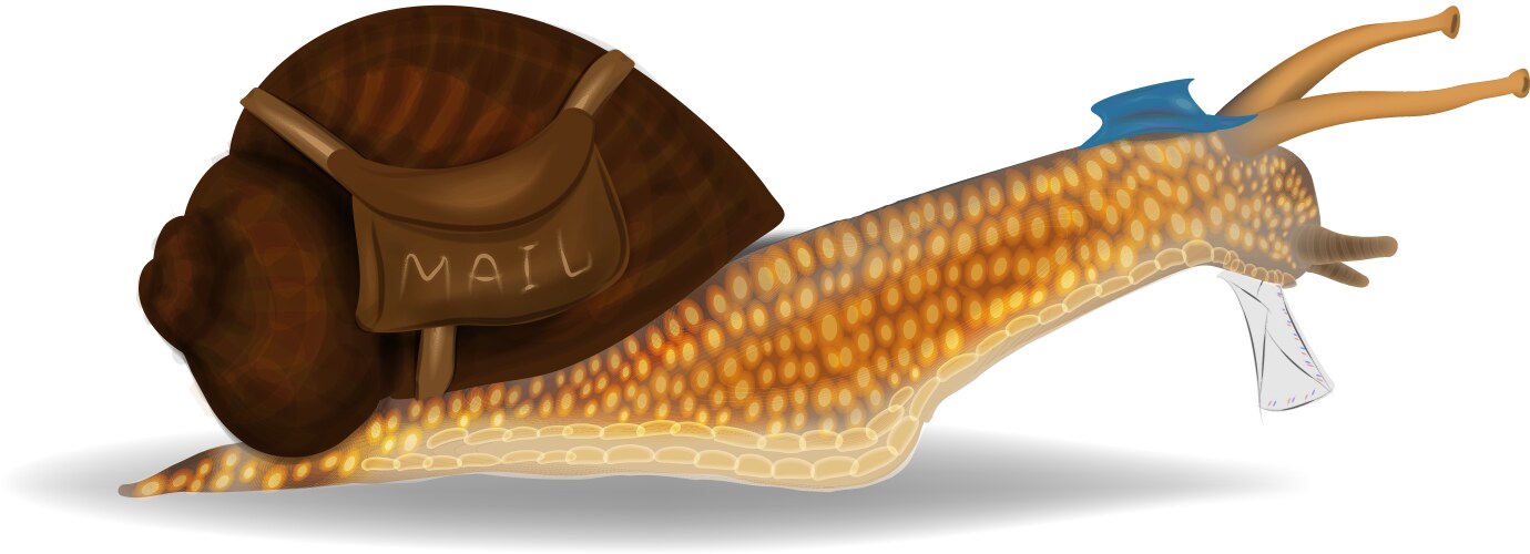 A slow snail Royalty Free Vector Image - VectorStock